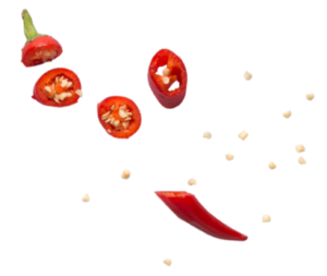 SoSalsa – Tapas